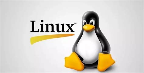 Linux命令格式详解：command Option Argument 的使用方法与注意事项 Linux命令大全手册