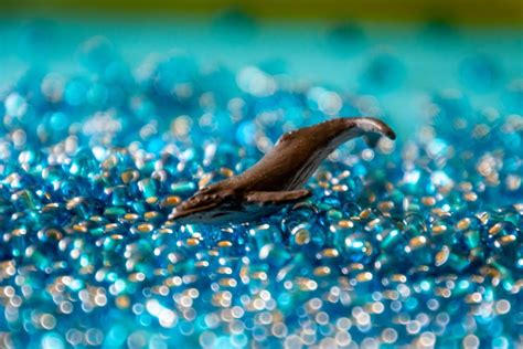 Docker Networking Explained Building Connections In Containers By