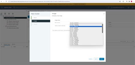 Set Up And Deploy A Vmware Esxi Host Cluster And Datastore Cluster