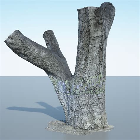 Tree Trunk 3d Model Turbosquid 1448077