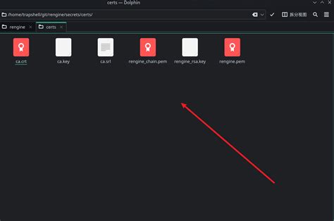 Question With Local Installation Of Certificates Issue Yogeshojha Rengine GitHub