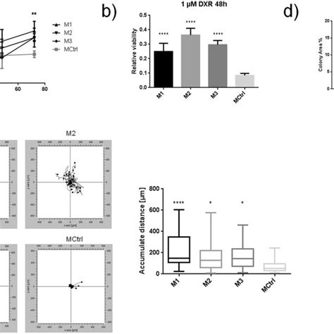 Summary Of Important Pathways And Biological Phenotypes With Targets Download Scientific