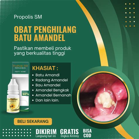 Jual Obat Penghancur Tonsil Stone Radang Amandel Sakit Nyeri