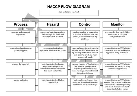 Haccp Flow Chart Template 4 Free Pdf Printables Artofit