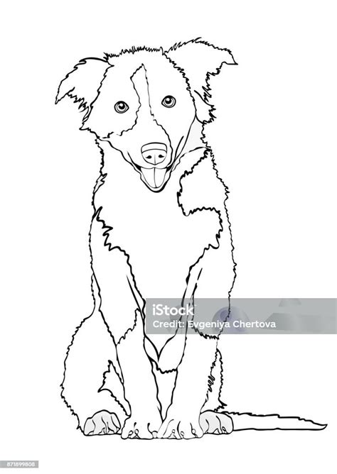 개 벡터 개요 그림 스케치 색칠 흑인과 백인 컨투어 만화 풀 숲 개 전체 길이 흰색 배경에 고립 2018년에 대한 스톡 벡터 아트 및 기타 이미지 Istock