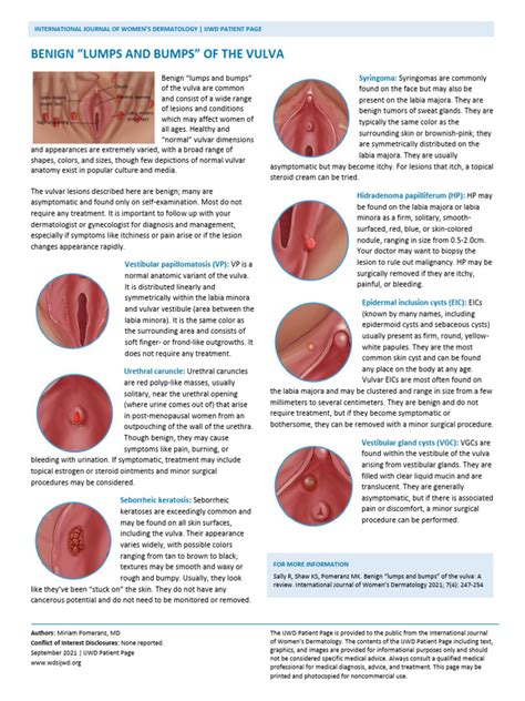 Benign “Lumps and Bumps” of the Vulva | PDF | Labia | Diseases And Disorders