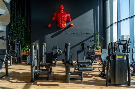 გაზონი მწვანე საფარი Added A New გაზონი მწვანე საფარი