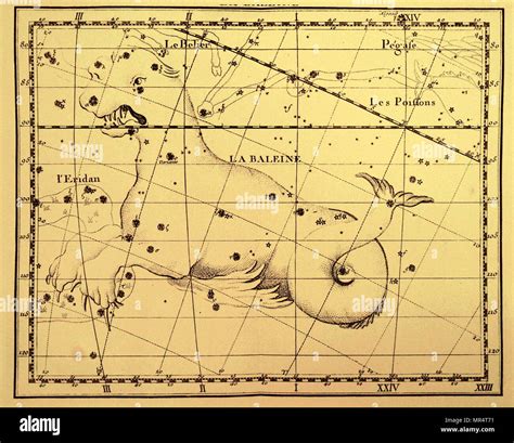 Engraving Depicting The Constellation Of Cetus Its Name Refers To