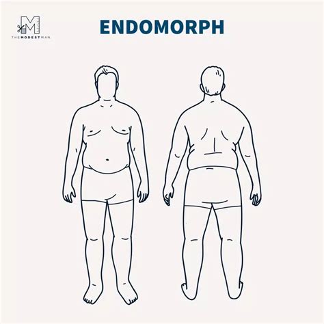 Male Ectomorph Body Type Style And Fashions Go To The Modest Man