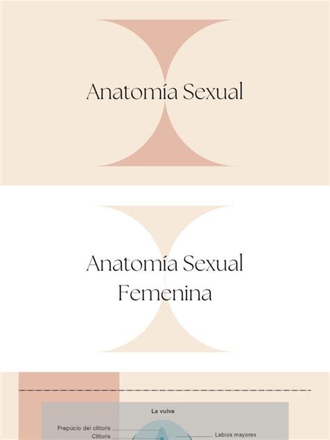 Anatomía Sexual Básica F M Pdf
