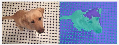 What Is Image Segmentation MATLAB Simulink