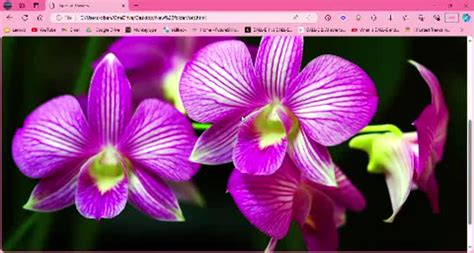 Cibani Joe On Linkedin Mainflow