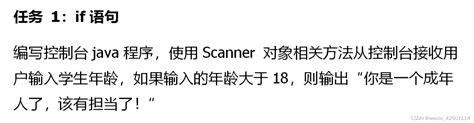 java条件与循环语句示例 csdn博客