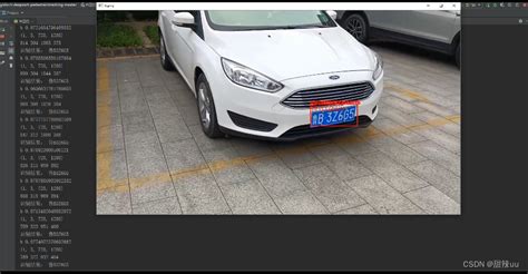 动态实时车牌追踪识别 Python 有完整代码可以直接运行python车牌识别视频 Csdn博客