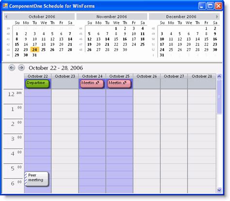 step 2 of 3 binding to a data source scheduler for winforms