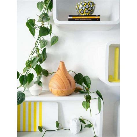 Unity Diffusers Licht Hout 400 Ml Kopen Kijk Snel Mindpiecenl