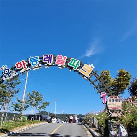 하동 레일바이크 하동 코스모스 메밀꽃 축제 하동여행 경남가볼만한곳 네이버 블로그