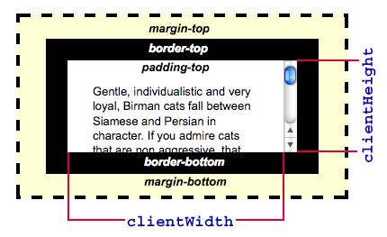 Javascript Problems Using ClientHeight Width When Defining Canvas Stack Overflow