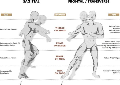 Intersegmental Control Focus Of Multidirectional Drills The Figure Download Scientific Diagram