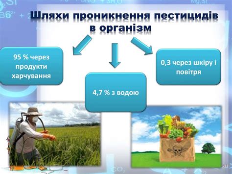 Вплив хімічних сполук на довкілля і здоров`я людини презентация онлайн