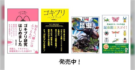 虫注意ギガスオオアリを飼育し始めましたいくらなんでもデカすぎて驚愕何じゃこのサイズはアリ Togetter トゥギャッター