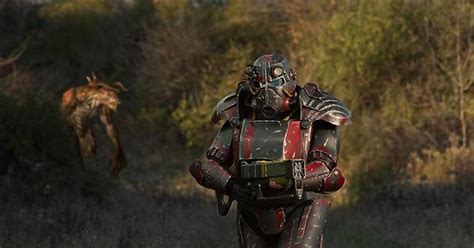 Perception Level 1 Imgur