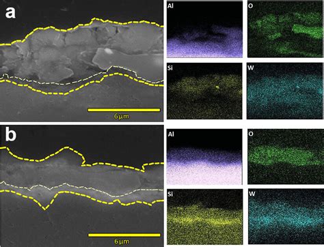 Sem Cross Section Micrographs With Eds Mapping For 15 Min Formed By Peo