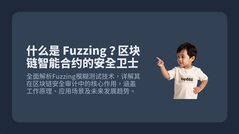 什么是 Fuzzing？区块链智能合约的安全卫士