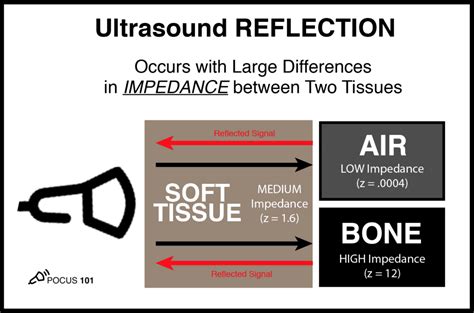Basic Principles Of Ultrasound Physics And Artifacts Made Easy Pocus 101