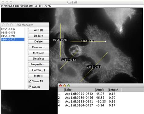 measure distance on image online at mary greenwell blog