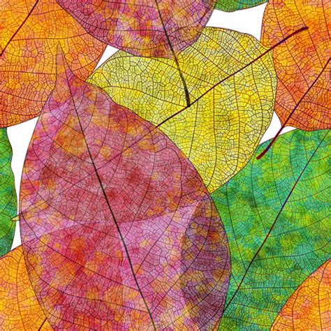 Beautiful Autumn Leaves Vector Seamless Pattern Vectors Graphic Art