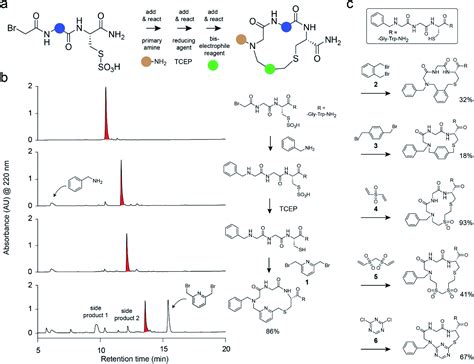 Macrocycle Synthesis Strategy Based On Step Wise “adding And Reacting” Three Components Enables