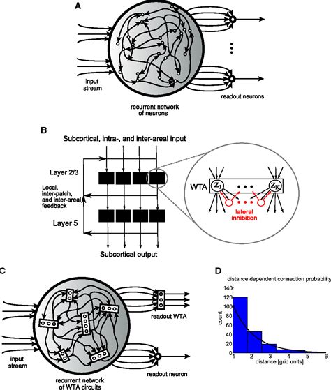 Figure 1 From Emergence Of Dynamic Memory Traces In Cortical Microcircuit Models Through Stdp
