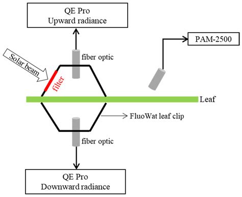 Exploring The Sensitivity Of Solar Induced Chlorophyll Fluorescence At Different Wavelengths In