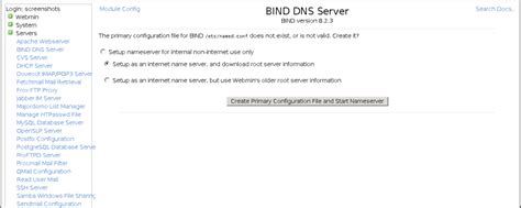 DNS Server Configuration BIND Webmin MN Linux