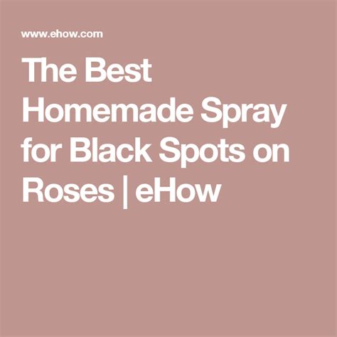 Best Treatment For Black Spots On Roses At Linda Redmon Blog