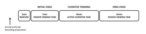 Schematic Diagram Of The Time Course Of The Experiment Procedure EEG Download Scientific