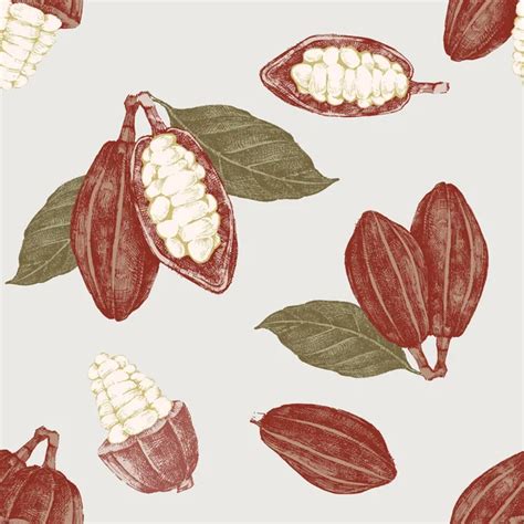 100 000 Cocoa Beans Pattern Vector Images Depositphotos