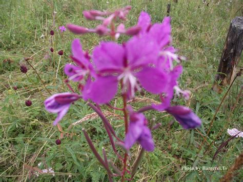 ӨВӨРХАНГАЙ АЙМГИЙН БАЙГАЛЬ ОРЧИН АЯЛАЛ ЖУУЛЧЛАЛЫН ГАЗАР БАЙГАЛИЙН УРГАМАЛ