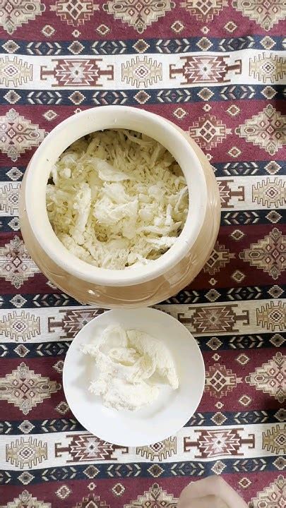 Հորած Պանիր Horac Panir Youtube