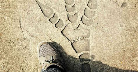 wrong step not taken is 4 steps in a right direction