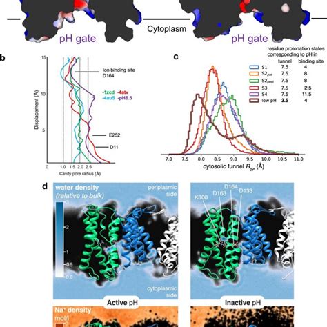 Solvent Accessibility Analysis Between Inactive And Active Ph Download Scientific Diagram