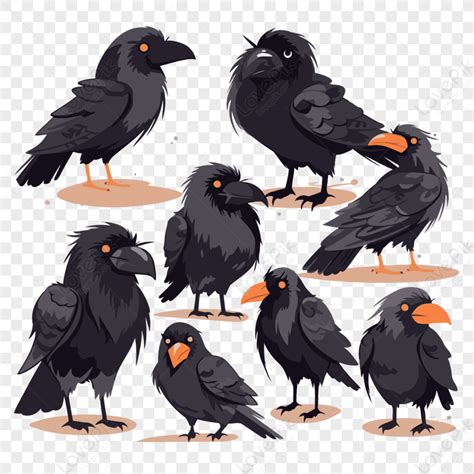 까마귀 클립 아트 만화 만화에 대 한 설정 까마귀 벡터의 다른 스타일 Png 일러스트 무료 다운로드 Lovepik