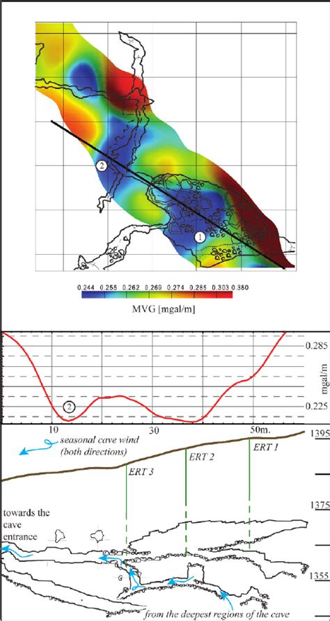 The Microgravity Vertical Gradient Survey Top Panel Spatial