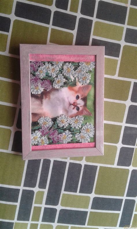 Купити Картина вишита бісером Кошеня Skrynya Ua