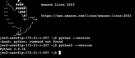 Amazon Linux 이 GA되었습니다 DevelopersIO