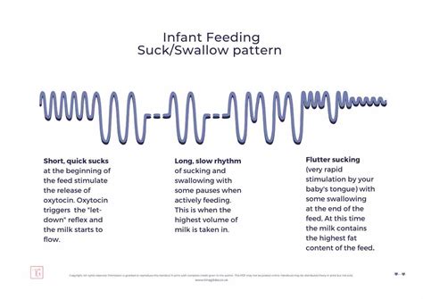 Infant Feeding Suck Swallow Pattern Handout Pdf