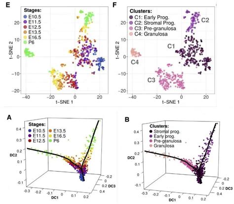 新格元accura Cell中低通量单细胞转录组测序，领航单细胞测序新赛道 知乎