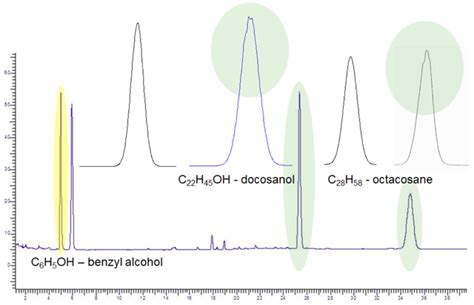 Troubleshooting Gc Peak Shapes