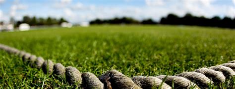 Cricket Regulator News